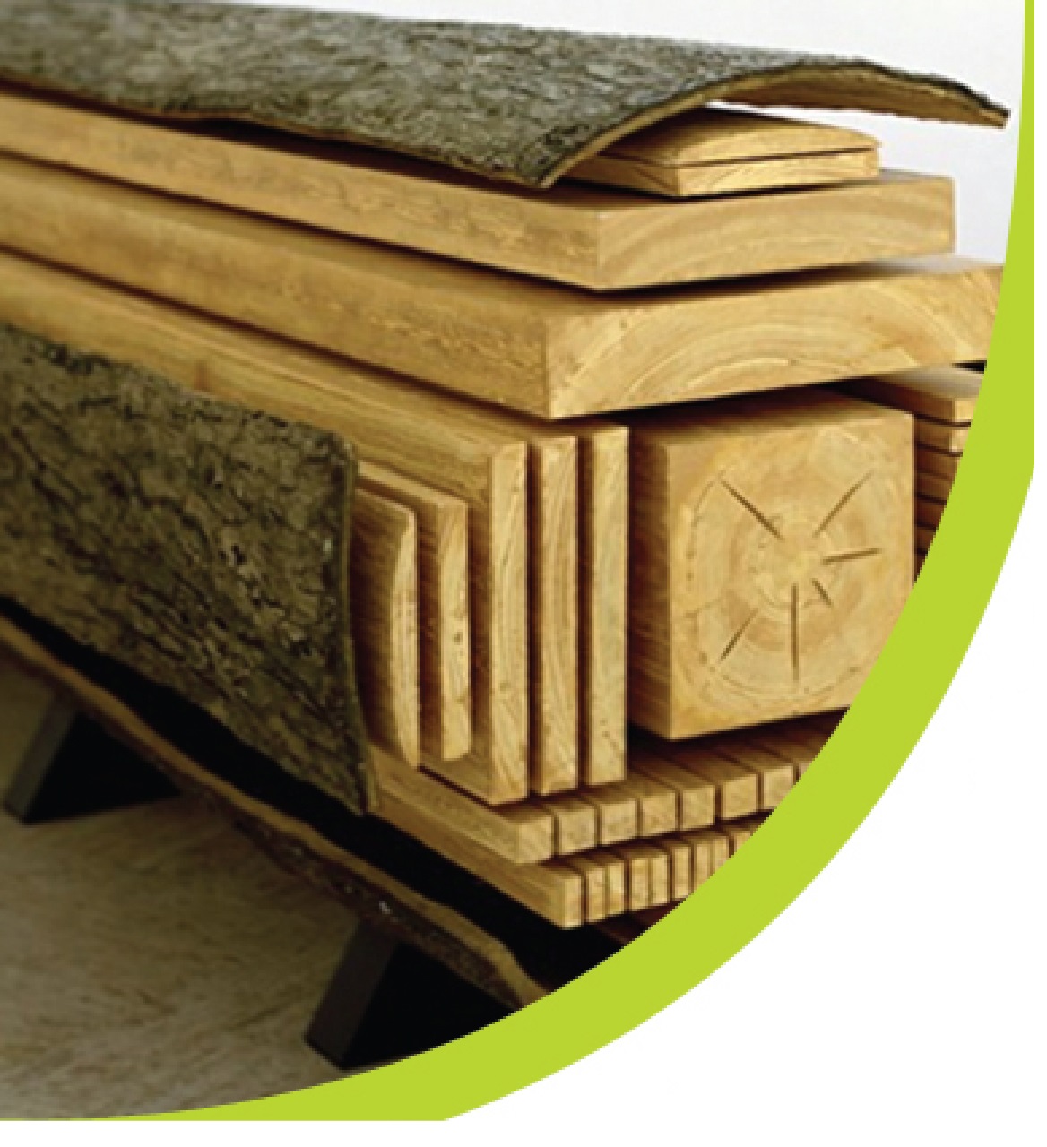 homepagetest – Trion Group of Companies